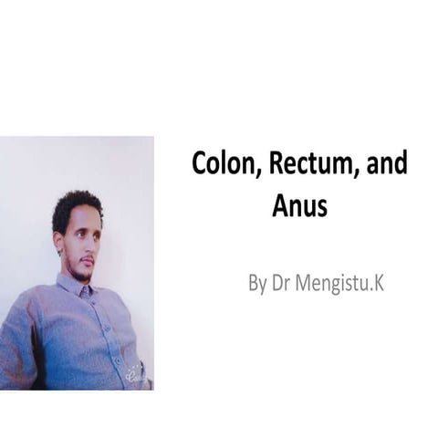 Colon, rectum, and anus | PPTX