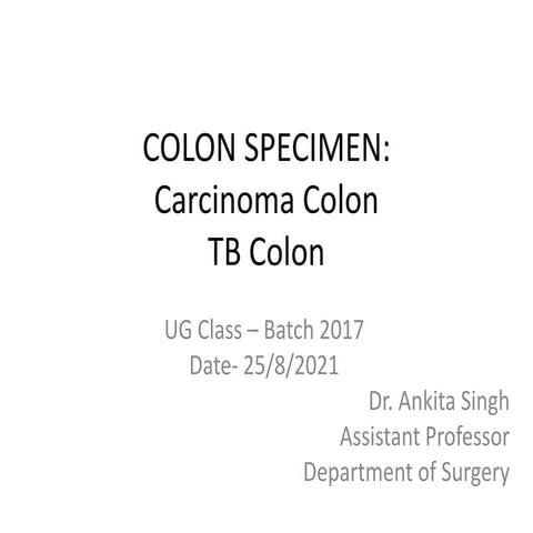 Colon specimen: Colon cancere , Colon TB | PPT