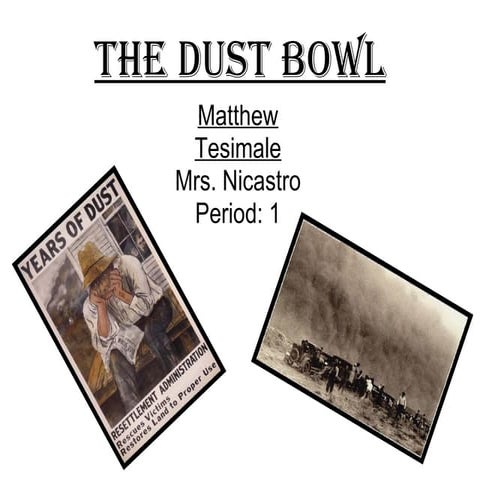 The Dust Bowl Summary | PDF