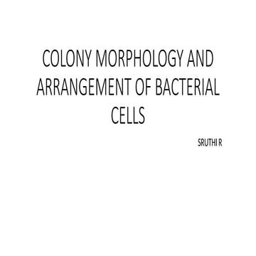 Different types of Bacterial Colony and their characteristics.pptx