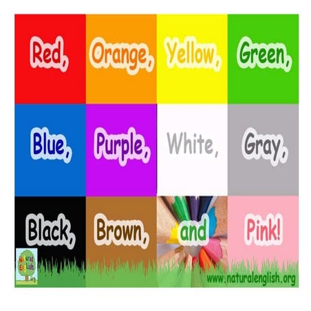 Color | PPT
