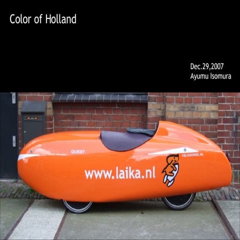 Color Of Holland | PPT | Agriculture | Industries