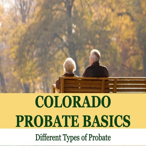 Colorado Probate Basics | PDF