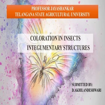 Insect coloration and Integumentary structures | PPTX