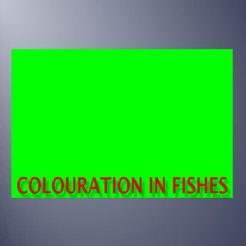 Coloration in Fishes ppt aqc full detail .pdf
