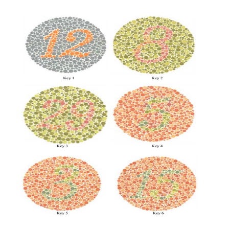 Ishihara.14.plate.instructions | PDF