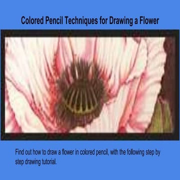 Colored pencil techniques for drawing a flower | PPTX