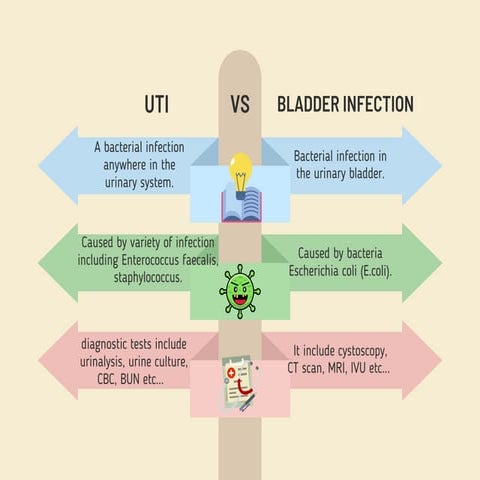 Difference between UTI and bladder infection | PDF