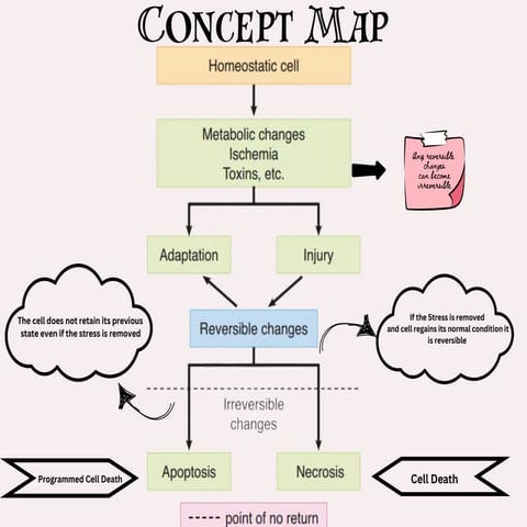 Colorful Creative Concept Msdfsfdsfdap.pdf