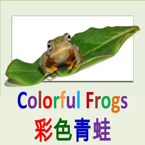 Colorful frogs (彩色青蛙) | PPSX