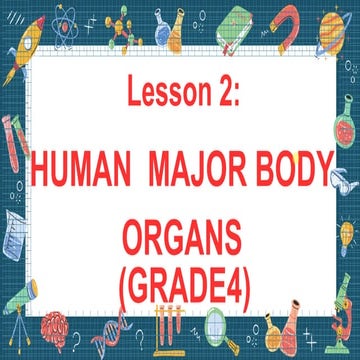 Colorful Hand Drawn Science Flip Backdrop_20240915_093659_0000.pdf