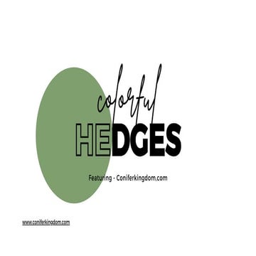 Hedge | PPTX