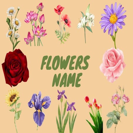 Colorful Illustrative Type of Flowers Flashcard.pdf | Gardening | Home ...