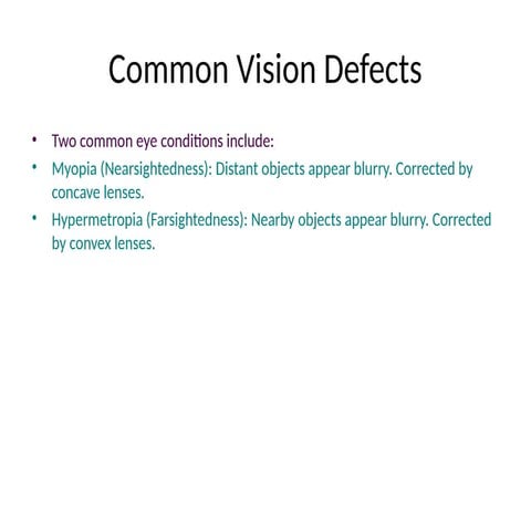 Colorful_Vision_and_Light_Presentation_2.pptx