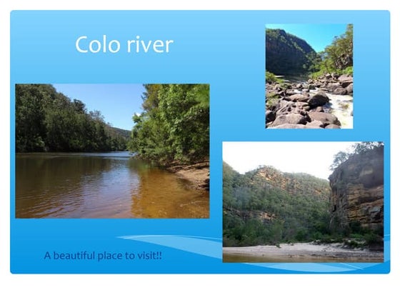 Colibita | PPTX
