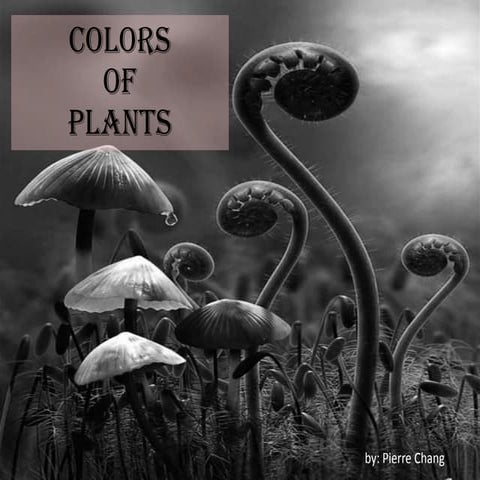 Color Of Plants | PPTX