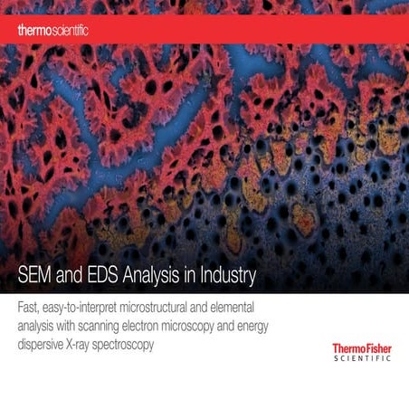 colorsem-ebook-industry-sem-eds-br0115.pdf