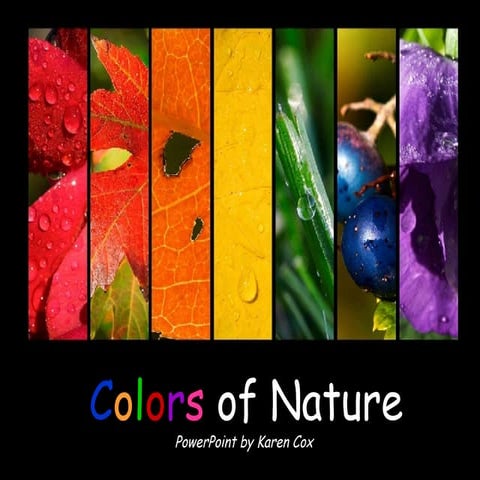 Colors of Nature | PPT