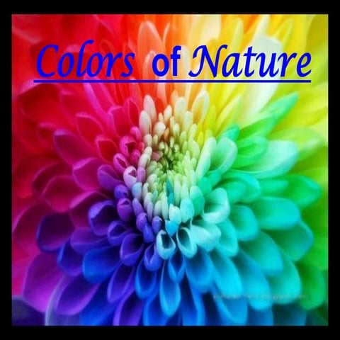 The Color Of Nature | PPSX
