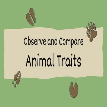 Colourful Observe and Compare Traits in Animals Science Activity.pdf