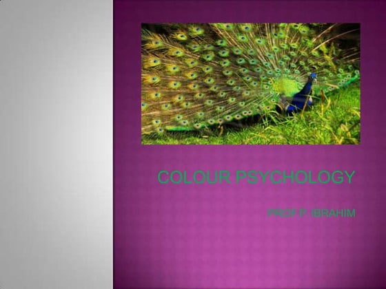 List of Rainbow Colors Names & Their Meanings | PDF