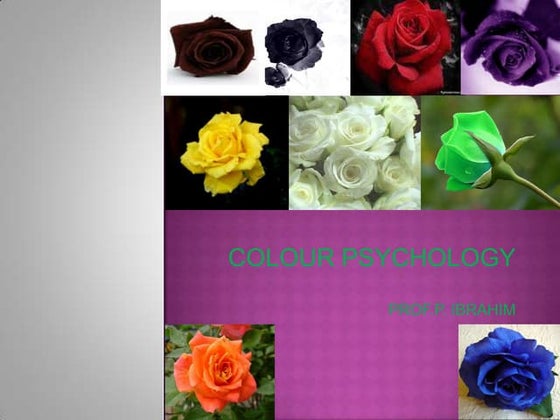 List of Rainbow Colors Names & Their Meanings | PDF