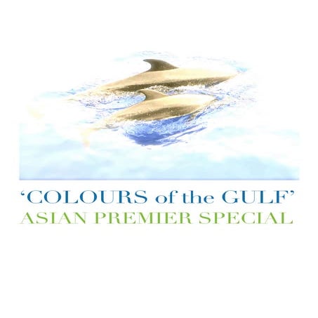 COLOURS OF THE GULF ASIAN PREMIER | PDF