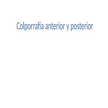 TECNICA QUIRURGICA DE COLPOPERINEOPLASTIA.pptx