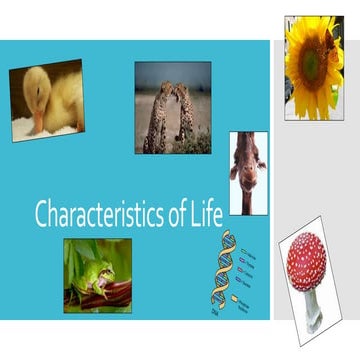 Characteristics of Life Notes Powerpoint | PPTX | Genetics | Science