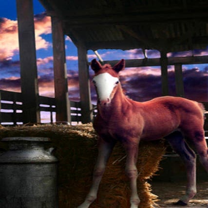 The Barn | PDF