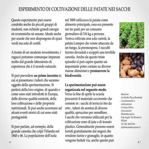 Coltivazione patate nei sacchi | PDF
