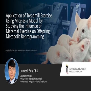 Application of Treadmill Exercise Using Mice as a Model for Studying ...