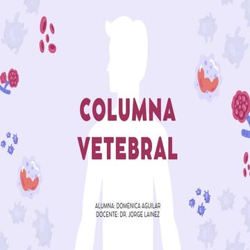 columna anatomia rx de columna total .pdf