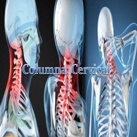 Columna cervical | PPTX