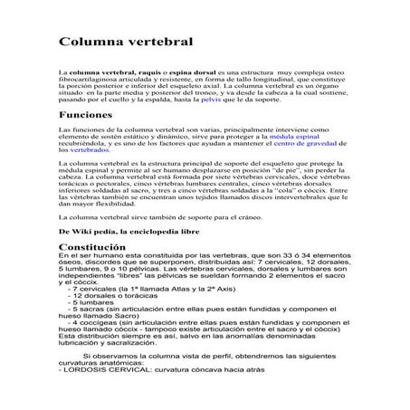 Columna vertebral anatomia presentacion. | PPTX