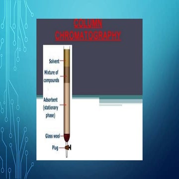 column chromatography.pptx
