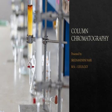 Industrialization Technique Column Chromatography | PPTX