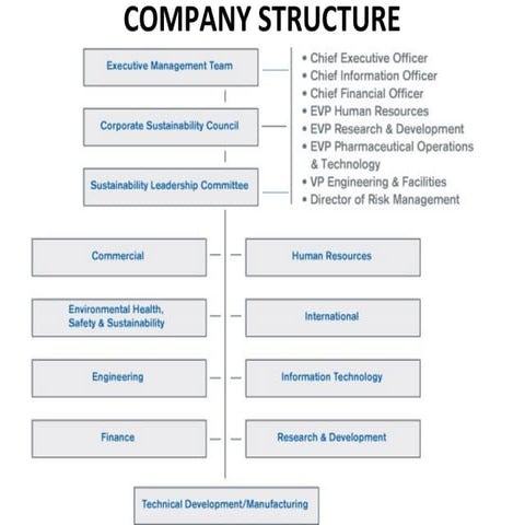 Company Structure | PPT