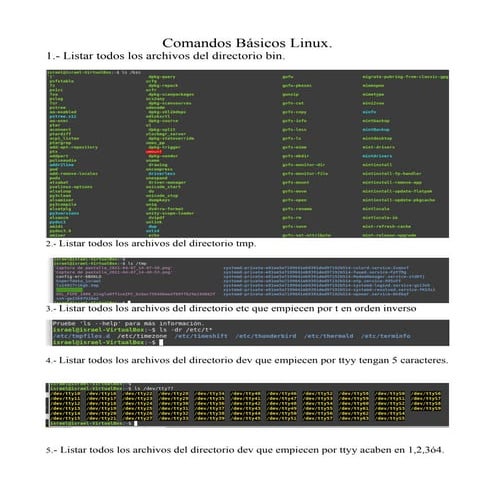 Comandos basicos linux mint | PDF