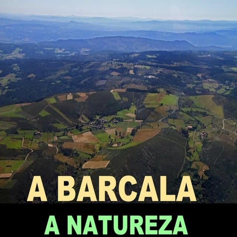 Comarca A Barcala | PPS