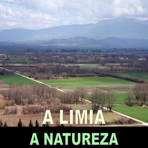 Comarca A Limia | PPS
