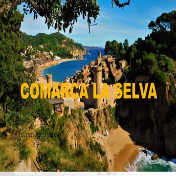 Comarca la selva | PPTX