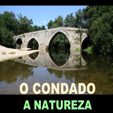 Comarca O Condado | PPT