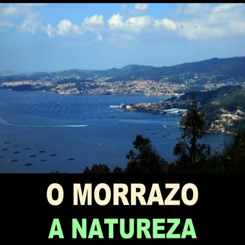 Comarca O Morrazo | PPT