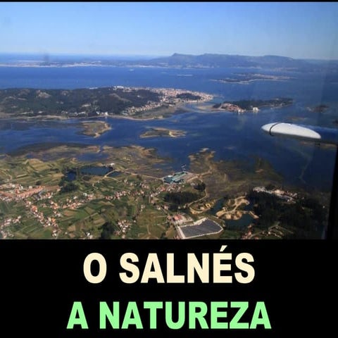 Comarca O Salnés | PPS