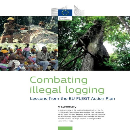 Combating illegal logging lessons from the eu flegt action plan | PDF