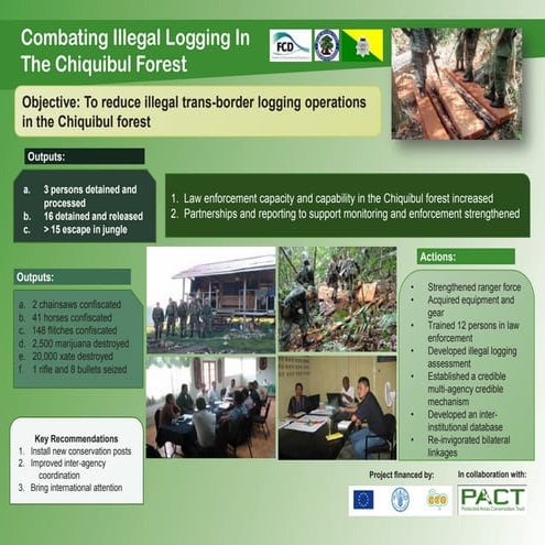 Combating Illegal Logging in Chiquibul | PDF