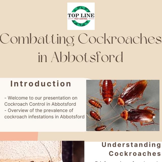 Combatting Cockroaches in Abbotsford.pdf