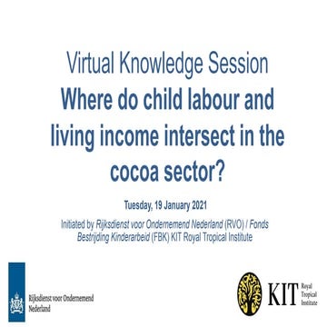 Where do child labour and living income intersect in the cocoa sector ...