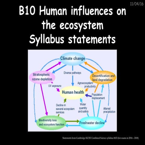 Combined sci b10 syllabus | PPT